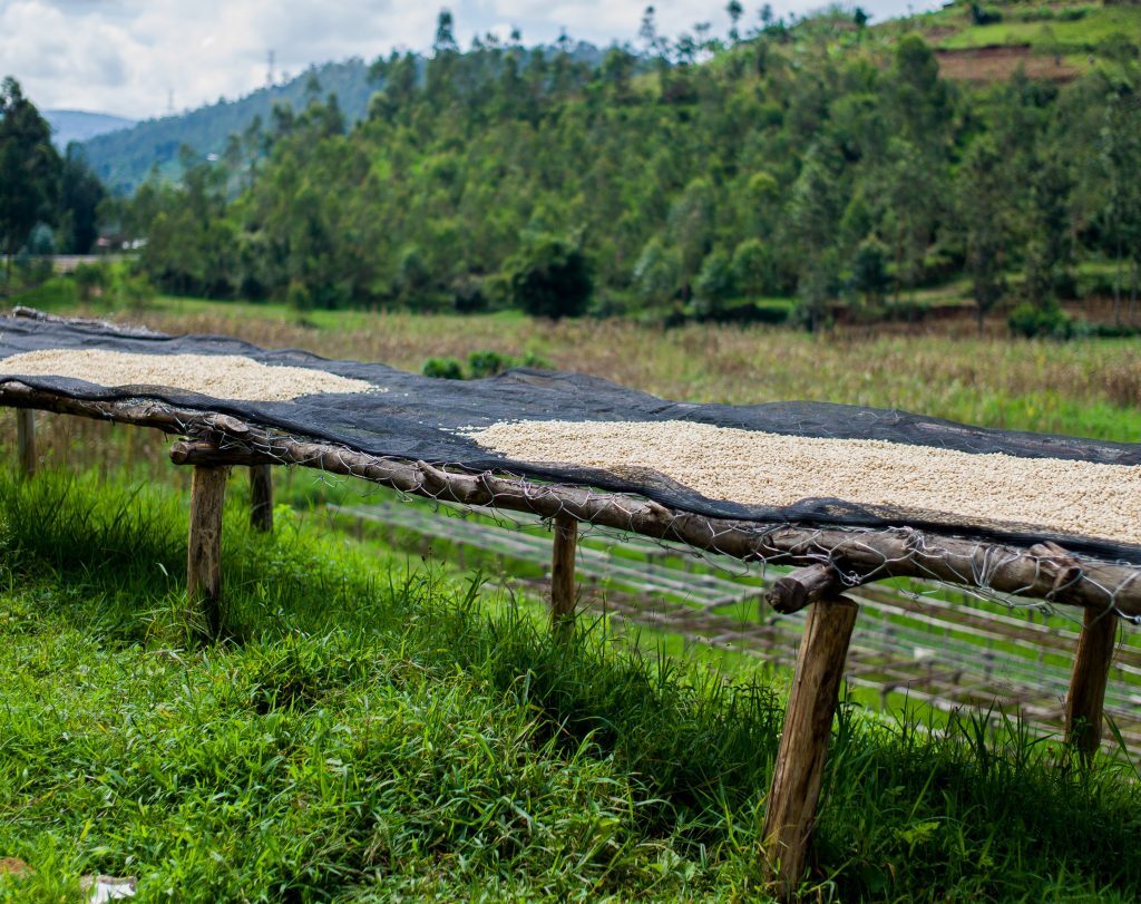 Magnetic Separation for Coffee Production | Bunting-Elk Grove Village